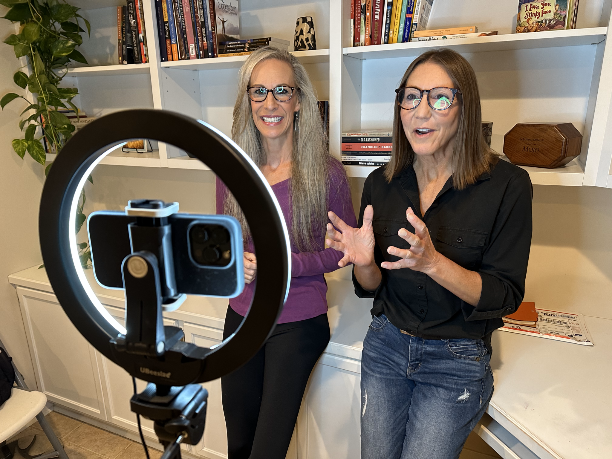 Renew To Freedom Program - Christian Brain Rewire